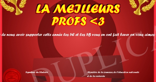 LA MEILLEURS PROFS -3